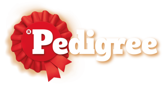 Pedigree® | Hondenrassen - Bedlington Terriër